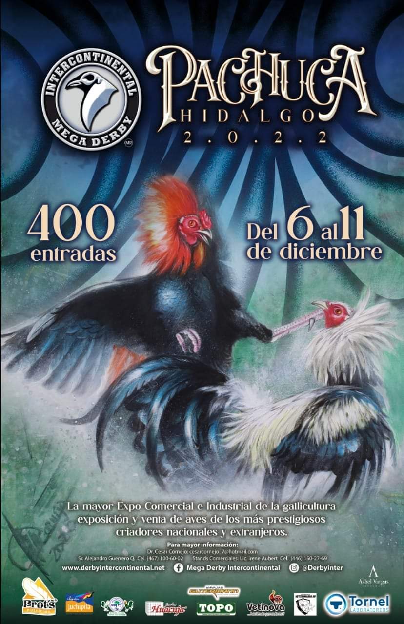 MEGA DERBY INTERCONTINENTAL PACHUCA HIDALGO 2022 – Vetinova